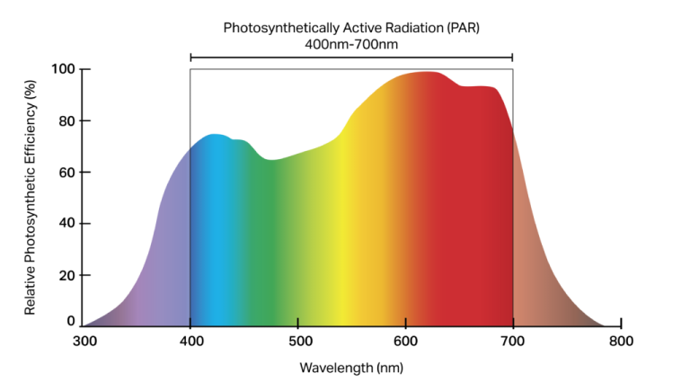 The best grow light spectrum for plants at different stages - Led Grow